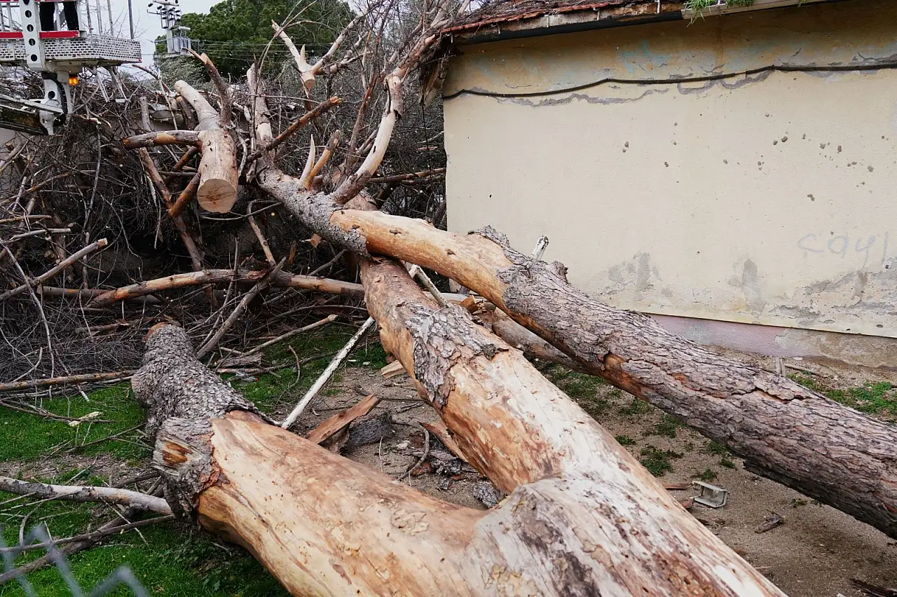 Tire Belediyesi Ekipleri, Fırtına Mesaisinde